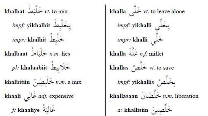 Learn Chadian Arabic | May the Light Shine in Chad