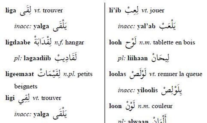 Learn Chadian Arabic | May the Light Shine in Chad